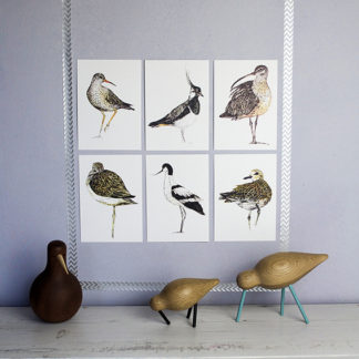 Beginner’s Guide to Wading Birds – Ella's Place