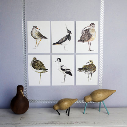 Beginner’s Guide to Wading Birds – Ella's Place
